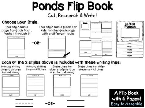 Ponds Report Ecosystem Flip Book Geology Research Project Pond Book