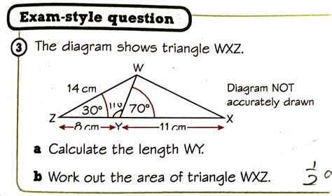 Congruences Geometry Confusing Sine Cosine Rule For Question