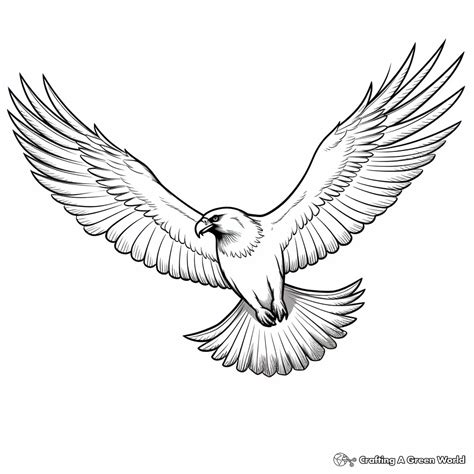 osprey coloring pages free and printable