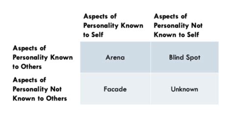 Person Perception Final Exam Flashcards Quizlet