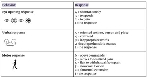 EMT Unit 2 Flashcards Quizlet