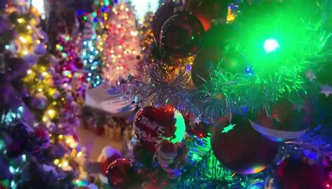 Семейство постави 605 коледни елхи в дома си