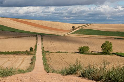 산티아고 순례길 모든 것