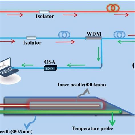 A Upconversion Luminescence B The Energy Level Diagram And Download Scientific Diagram