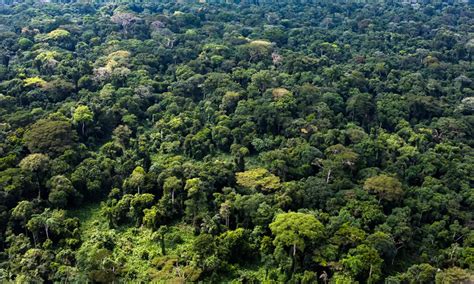 Exploiting Auction Climate Corporate Solution