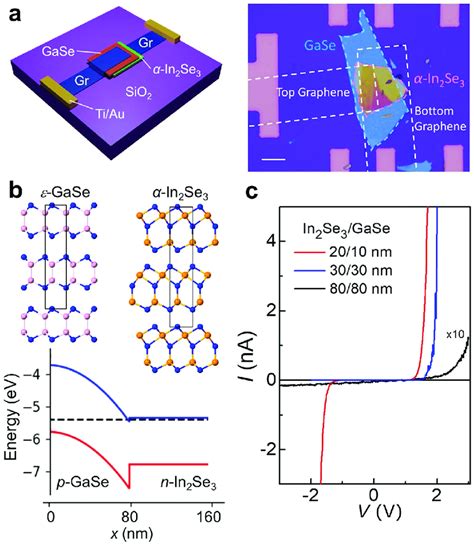 Graphene Contacted P Gase N In2se3 Heterojunctions A Left Schematic Download Scientific