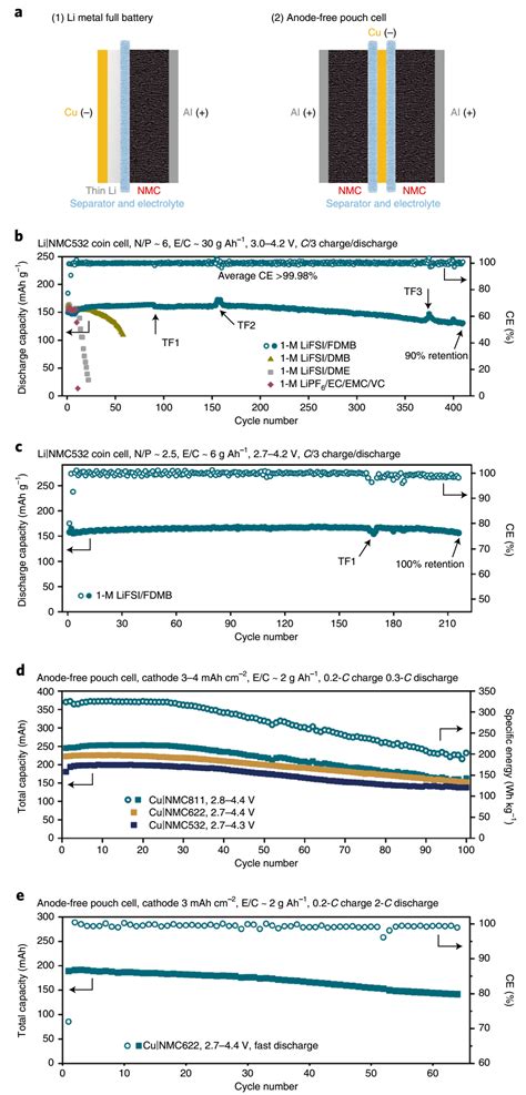 鲍哲南and崔屹联手nature Energy：锂金属电池的电解液分子设计 清新电源