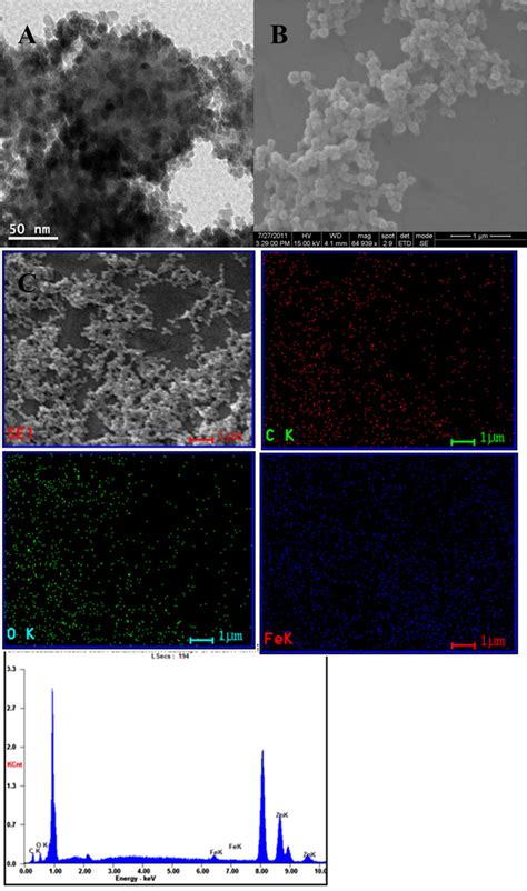 Tem Image A Sem Image B 1 μm Scale Bar And Edax Elemental Download Scientific Diagram