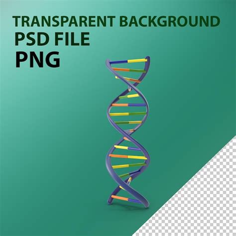 Hélice Adn Png Psd Premium