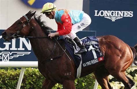 2024香港国際競走 Jra Van World 海外競馬情報サイト