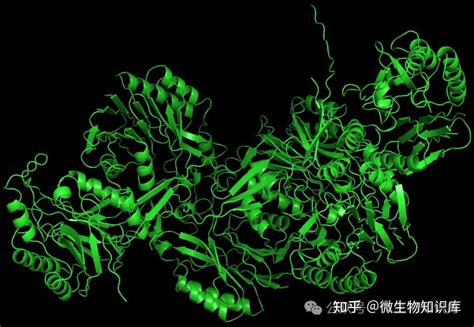做分子对接用pymol可视化时，小分子化合物和蛋白质之间没有氢键显示是怎么回事啊？ 知乎
