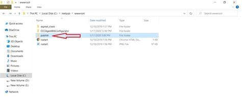 Publish And Host ASP NET Core Web API On IIS