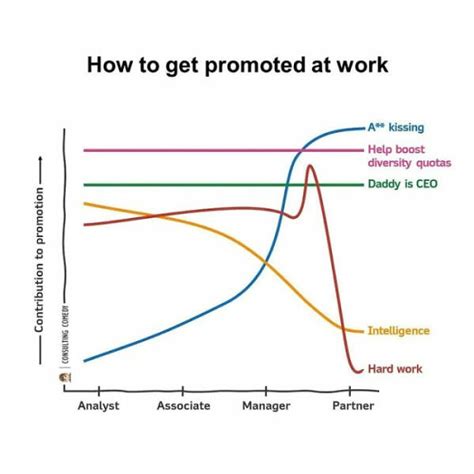 The Laughter Continuum Consulting Chronicles Unveiled In Memes Barnorama