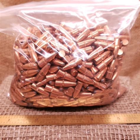 850 Pack Remington 22 Caliber 224 55 Grain PSP Bullets For