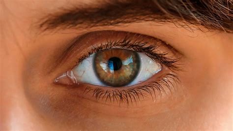 Ectropion Vs Entropion Expert Eye Clinic In London And Beyond