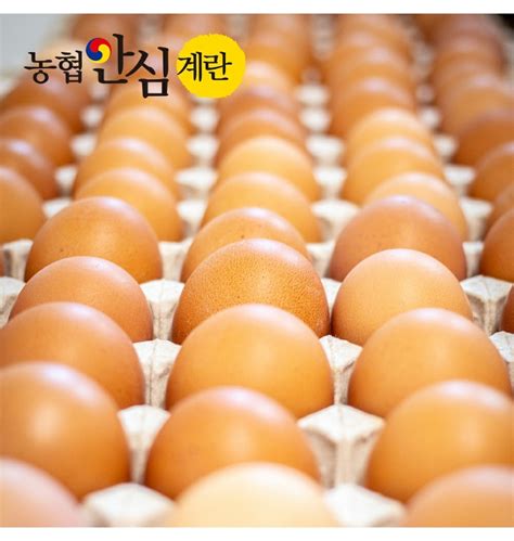 농협안심계란haccp 농장생산 신선란 특란 15구 20구 30구 티몬