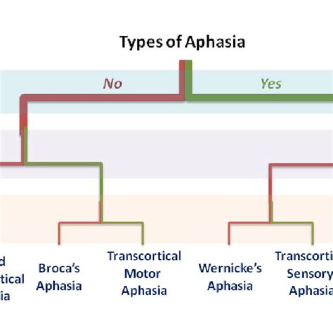 Aphasia Types