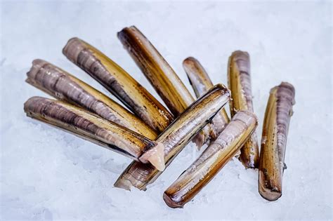 Processing And Sales Bamboo Clams Ancona Copemo