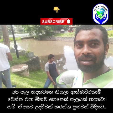 මතක තියාගන්න ඔබ පෘථිවි ජීවියෙක් ඔබ ජීවිතයෙන් යන්න කලින් ඉපදුනු මහ පොළොවට ගහක් හදලා යන්න Youtube