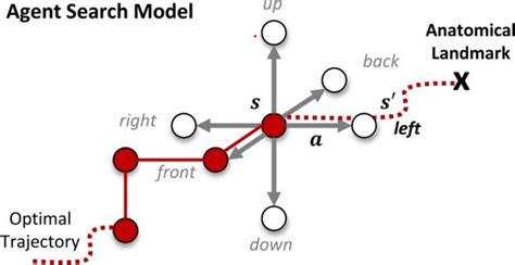 Possible Actions Of A 3d Landmarks Detection Task Courtesy Of Ghesu