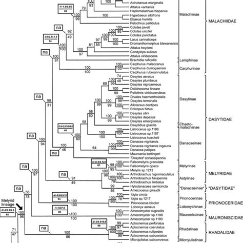 partitioned ba inference from the combined dataset on the preferred