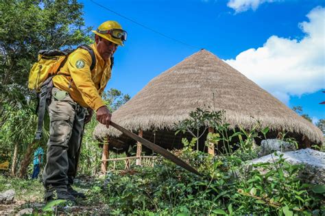 Anticipan y capacitan brigadas para la temporada de incendios Cancún Mío