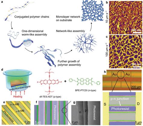 Ordered Nanostructures Of Conjugated Molecules And Polymers Through