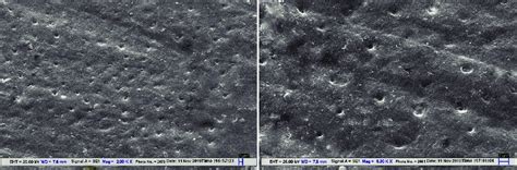 Scanning Electron Microscopy Photomicrograph Of Dentin Surface Treated Download Scientific