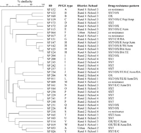 Dendrogram Analysis Of Pfge Among 38 Isolates Of S Pneumoniae Drug