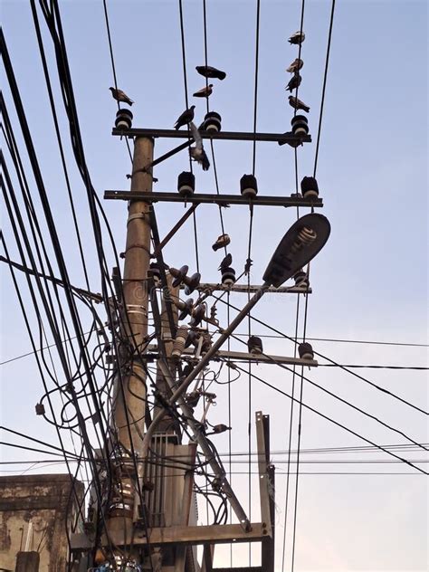 Overhead Electrical Distribution Line With Sunset Sky Stock Image