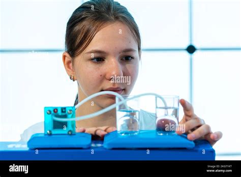 Schoolgirl Student Studying Hydrogen Fuel Cell At Physics Lesson Stock