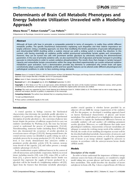 Pdf Determinants Of Brain Cell Metabolic Phenotypes And Energy