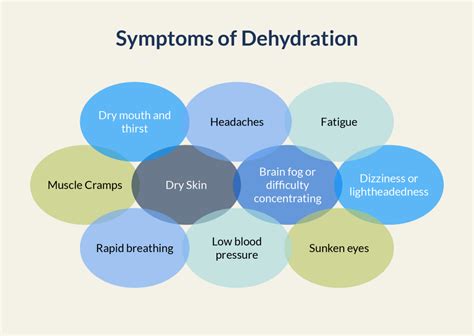 Alcohol And Dehydration Managing The Symptoms