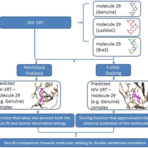 flow diagram summary outlining the computational protocol towards