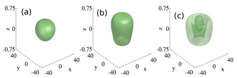 Isosurface Representation Of A Three Dimensional Lb At Which The