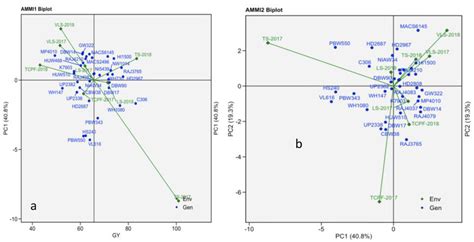 Ammi Biplot Model Showing Relationship Among Test Environments And