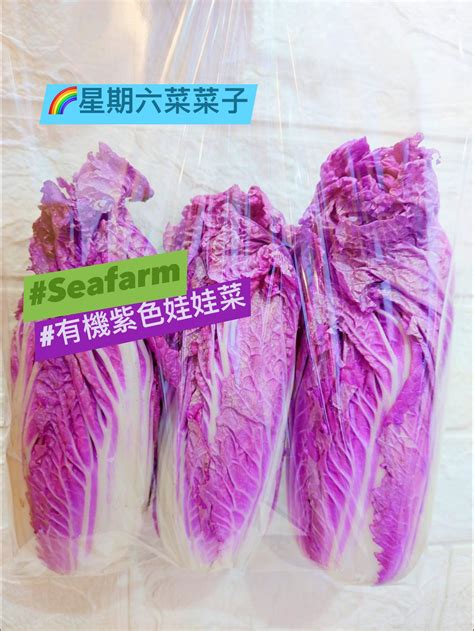 水稻田 🌈星期六菜菜子。我哋真係好鍾意紫色😂 💜紫色蔬菜 含豐富 花青素，有多種健康益處！如 抗氧化、