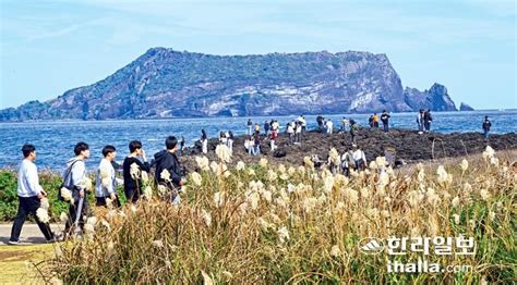 불안 정국·항공 참사에 여행심리 위축 제주 관광객 11 ↓ 한라일보