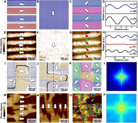北京理工大学（珠海）科研团队在铁电拓扑结构研究中取得重要进展 空天信息学域
