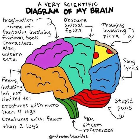 9 Ways To Explain Your Introversion Artofit