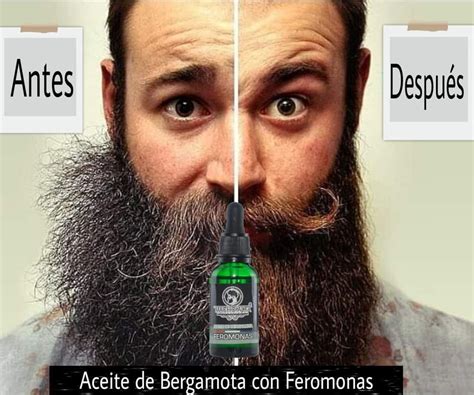 La Diferencia De Usar Un Buen Macho Alfa Morelia