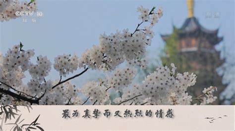 百家讲坛《诗说先秦》cctv专区央视网