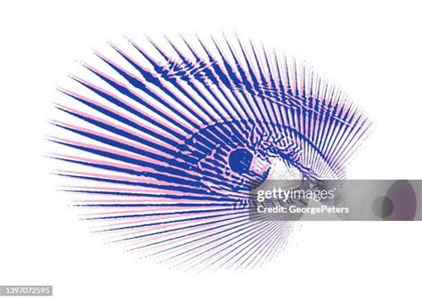 Identity Theft Logo High Res Illustrations Getty Images