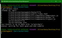 Git Bisect GeeksforGeeks