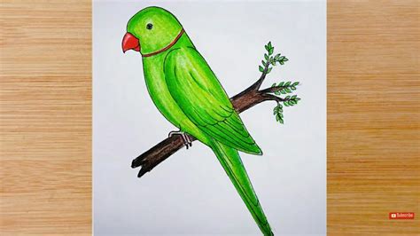 Parrot Drawing Tota Ka Chitra Kaise Banaye Mitu Ka Chitra Kaise