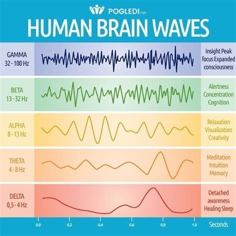 Brainwaves And What Kind Of Role Do They Have In Our Lives
