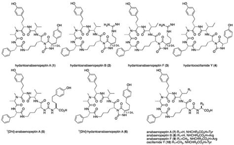 Marine Drugs Special Issue 20 Years Commemorative Issue In Honor Of