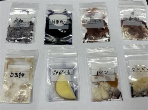 食品に含まれる化学物質デンプンの特別な性質 実験塾らくらくサイエンスラボ