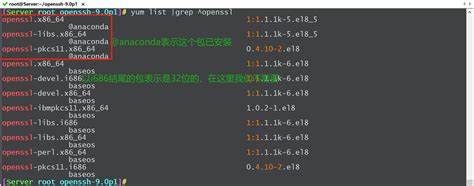 Openssh Demoduan