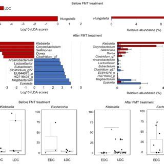 Significantly Different Genera Between The EDC And LDC Groups A Download Scientific Diagram